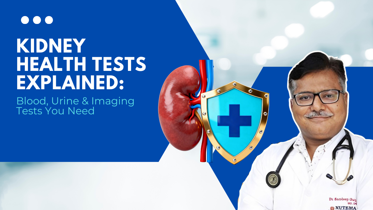 Kidney Health Tests: Blood, Urine & Imaging Explained